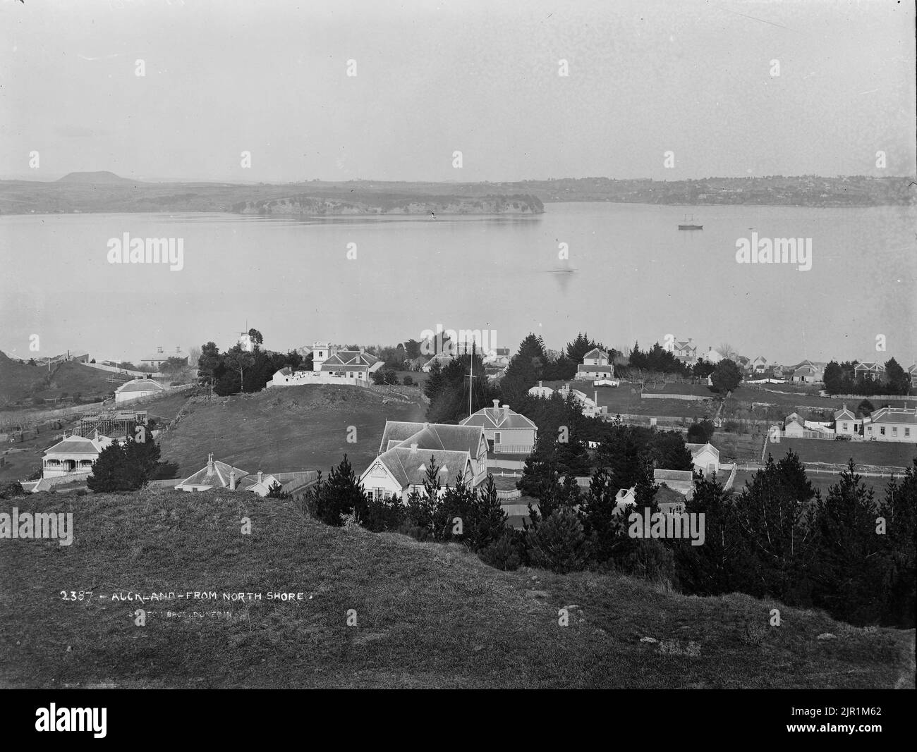 Auckland from North Shore, Dunedin, by Burton Brothers, Frederick Muir ...