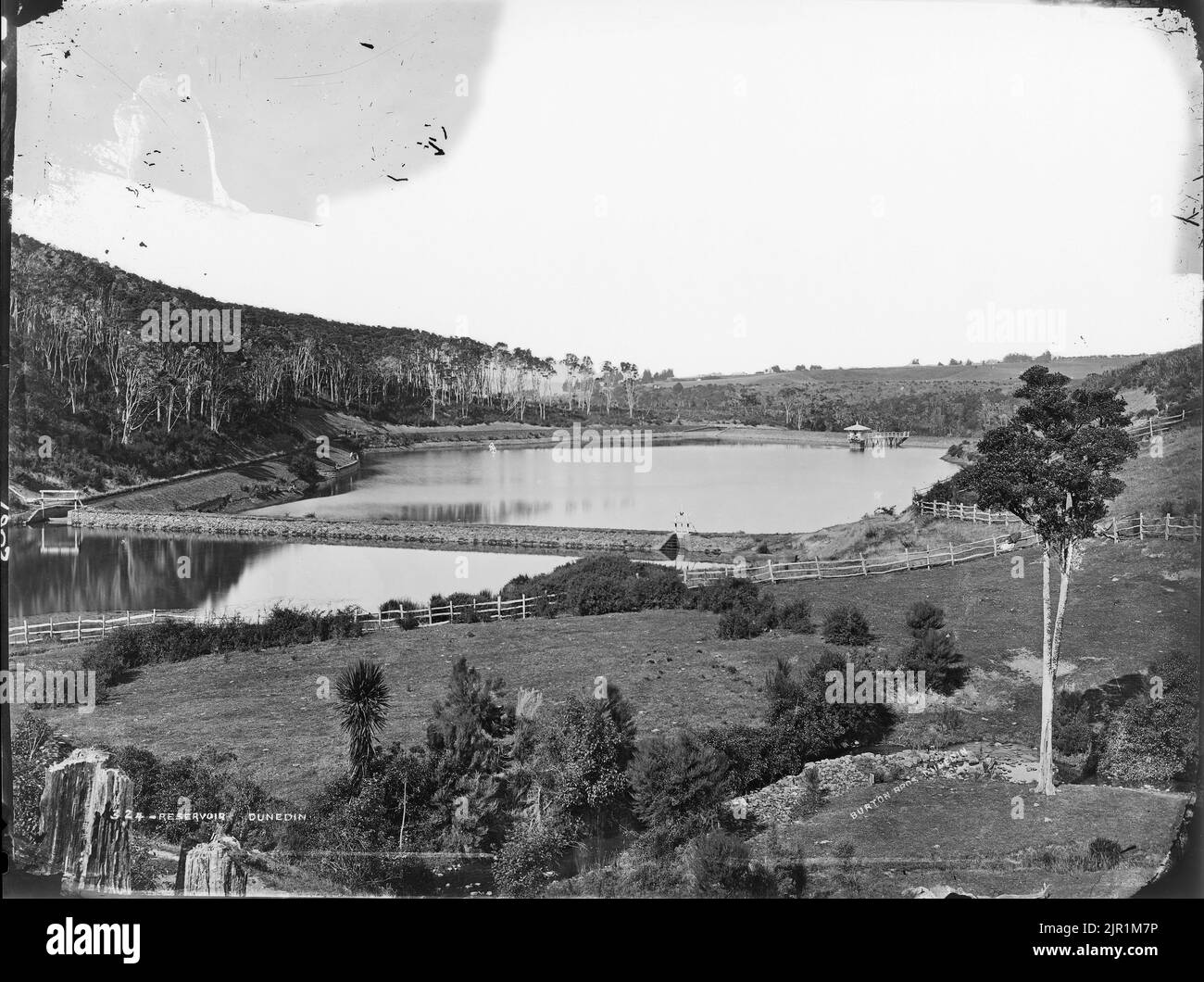 Reservoir, Dunedin, Dunedin, by Burton Brothers Stock Photo - Alamy