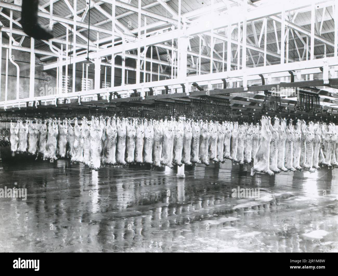 Cooling Chamber, Meat Works, Auckland, 1920s, New Zealand, maker ...