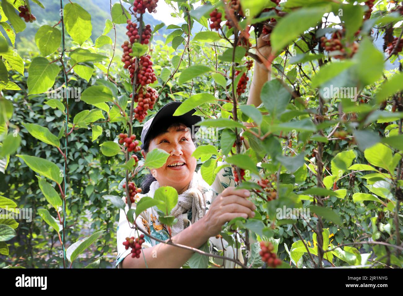 220821 hi-res stock photography and images - Alamy