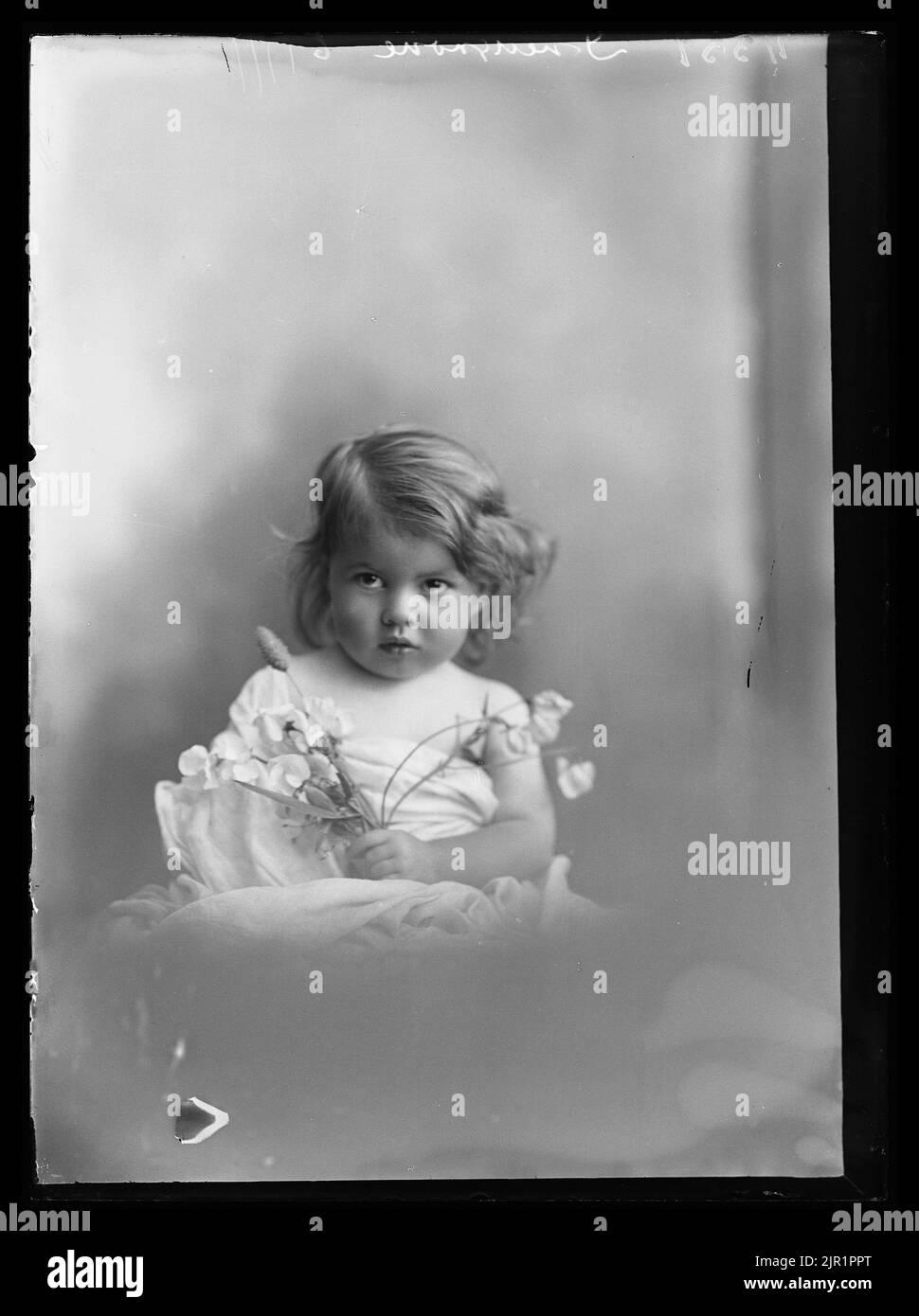 Trengrove 6, circa 1920, Wellington, by Berry & Co Stock Photo - Alamy