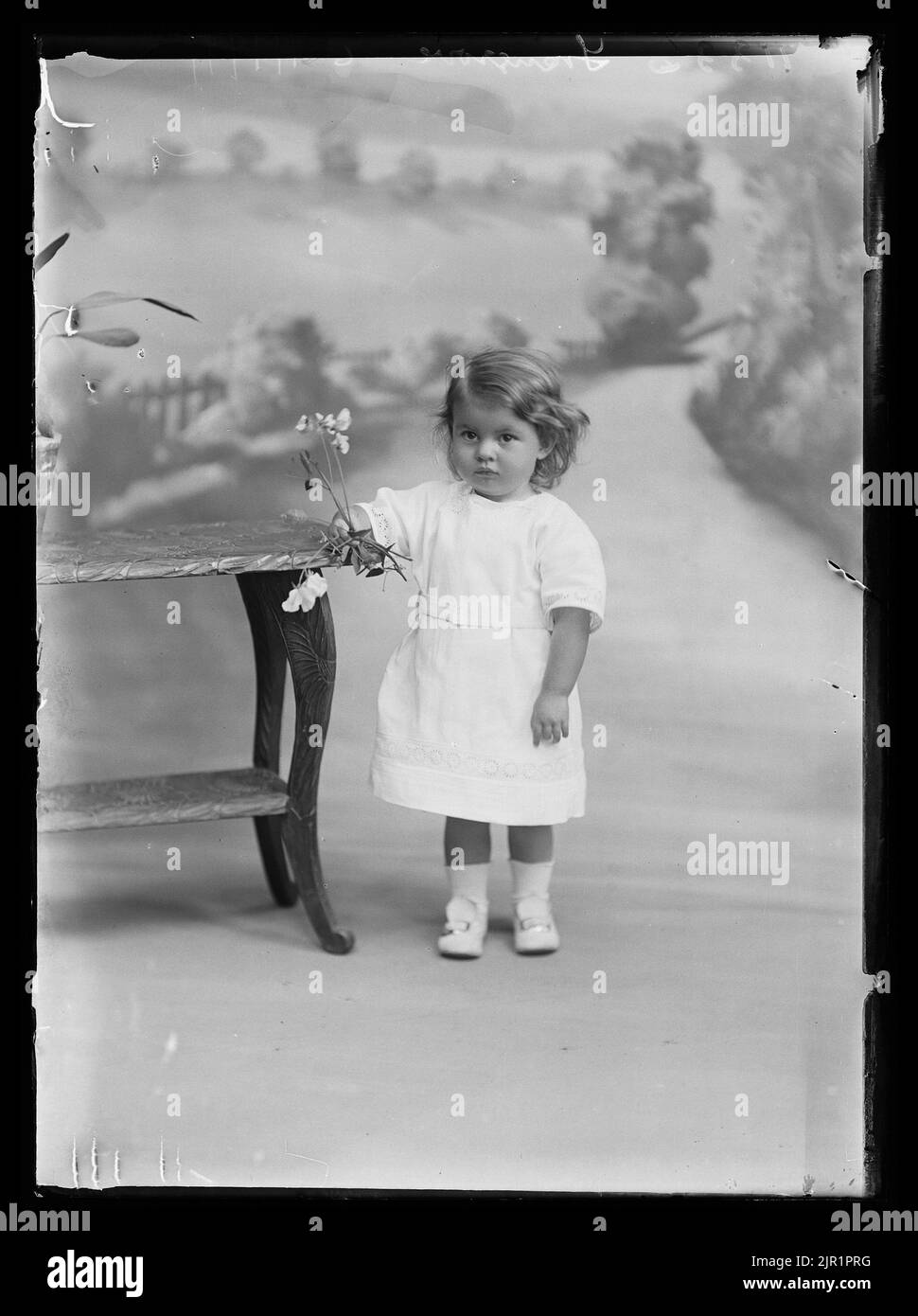 Trengrove 6, circa 1920, Wellington, by Berry & Co Stock Photo - Alamy