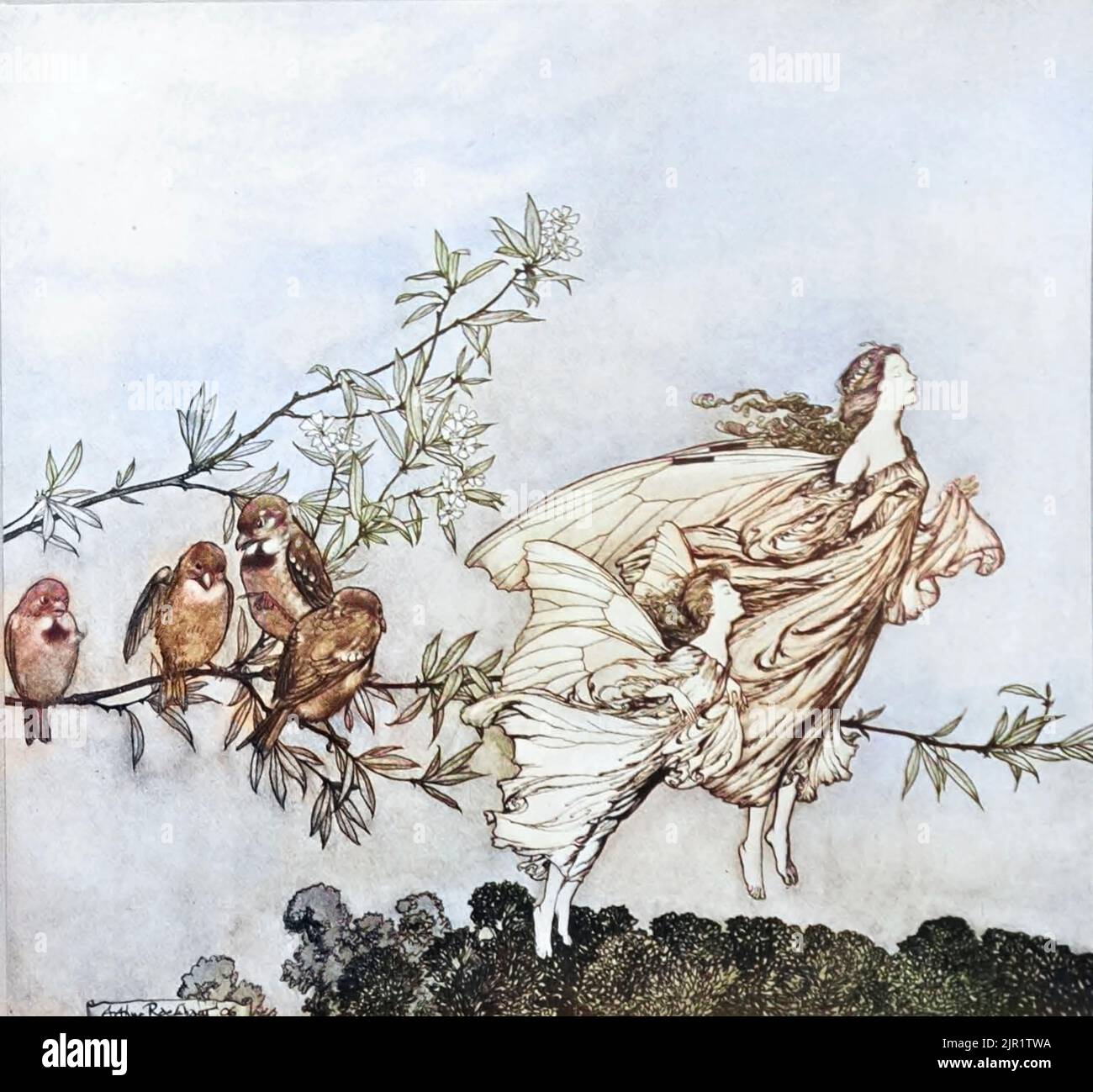 Arthur rackham peter pan hi-res stock photography and images - Alamy