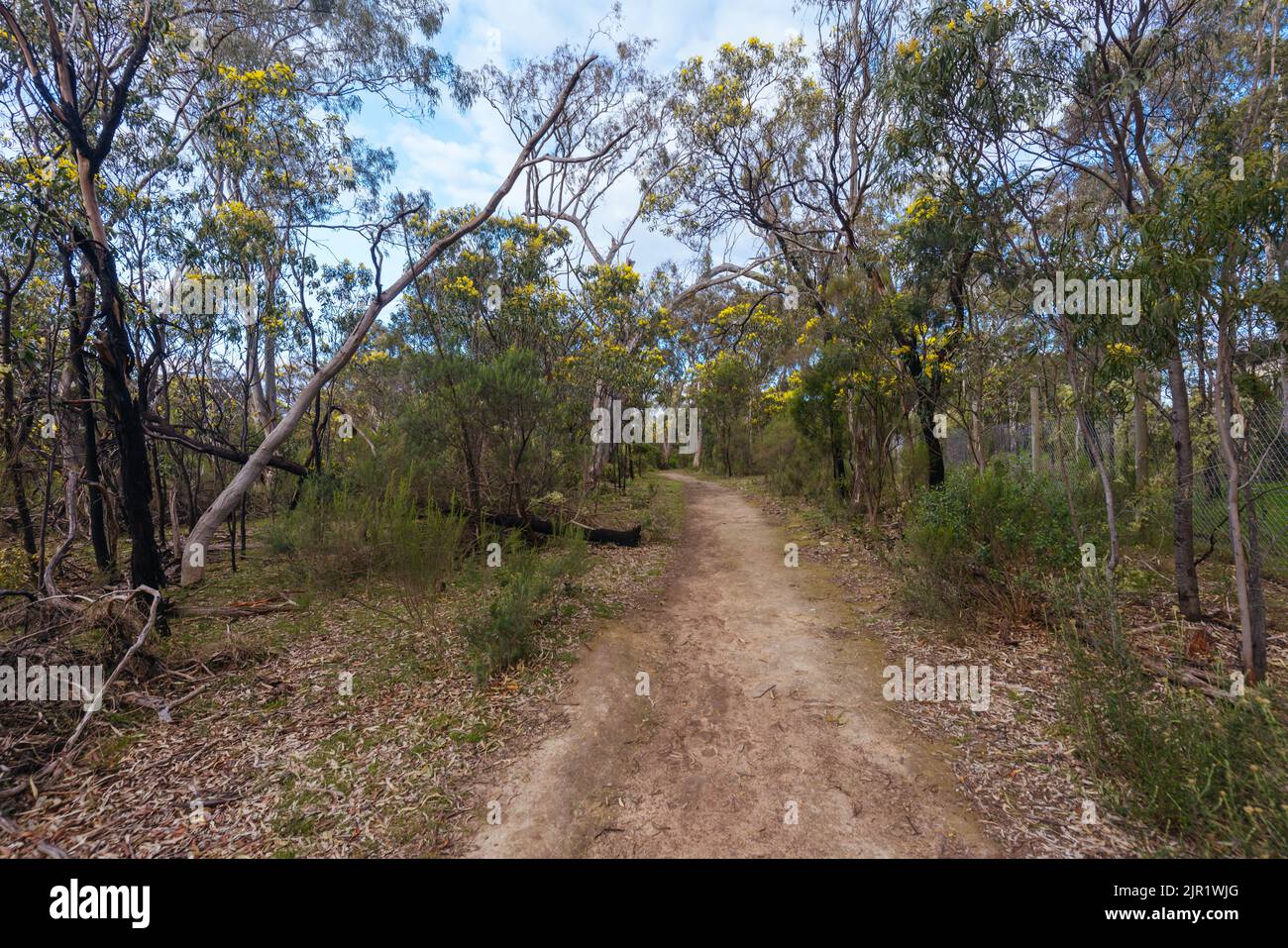 Gresswell Conservation Reserve in Melbourne Australia Stock Photo - Alamy