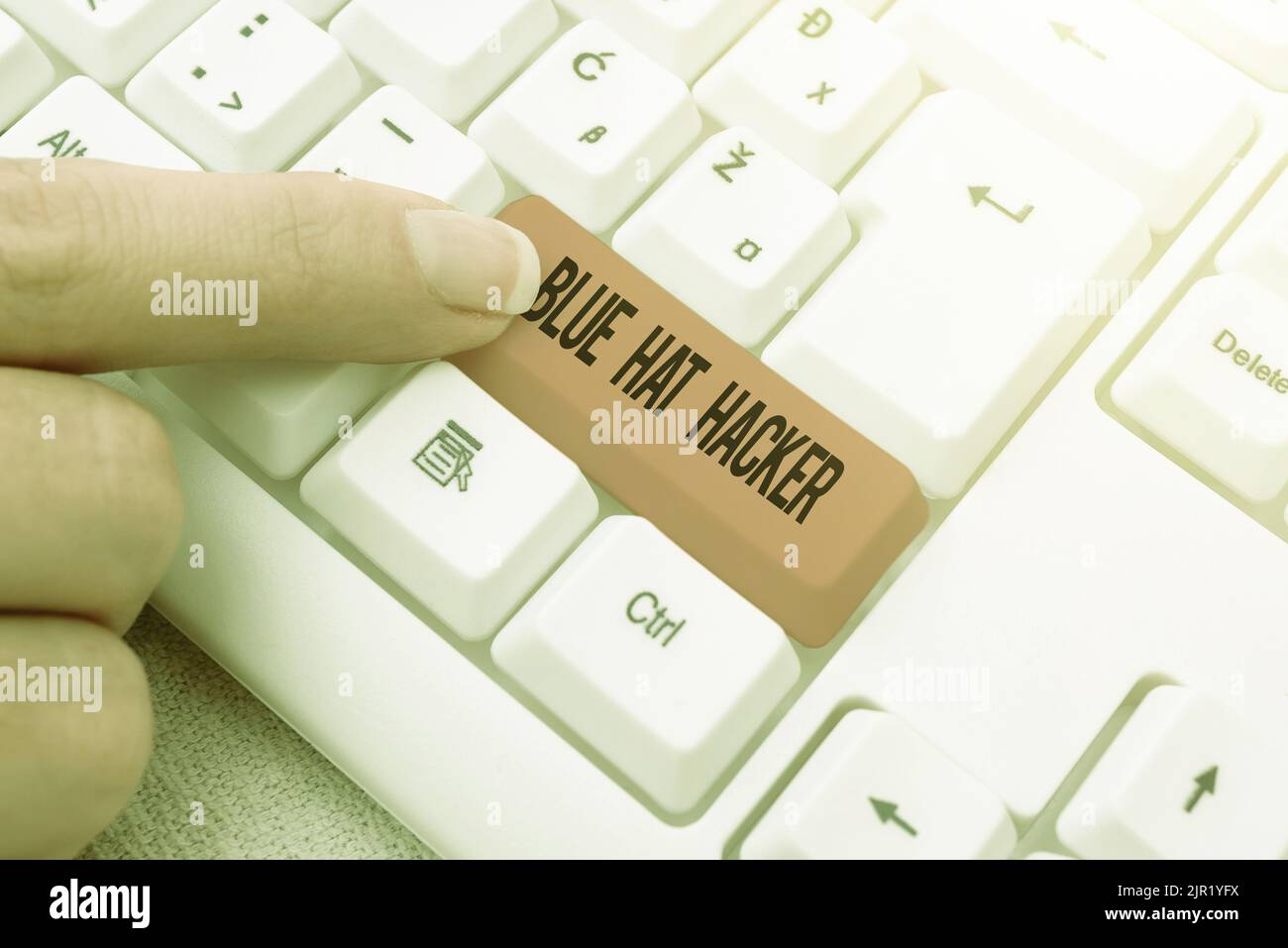 Conceptual display Blue Hat Hacker. Internet Concept Person consulting ...