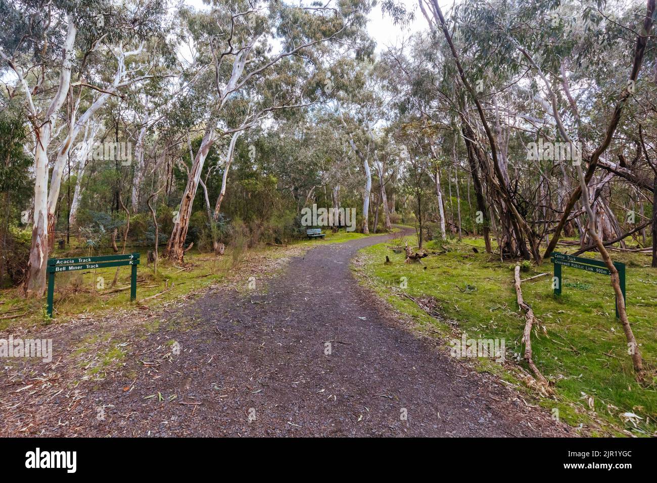 Gresswell Conservation Reserve in Melbourne Australia Stock Photo - Alamy