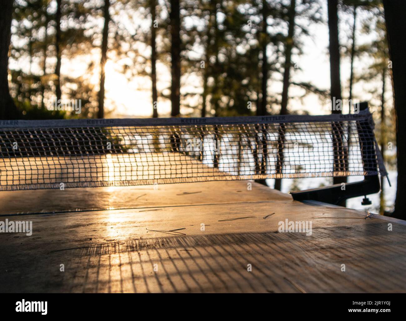 Table tennis, Table, Sunset, Dusk, Low light, Close up, Forest, Canada ...