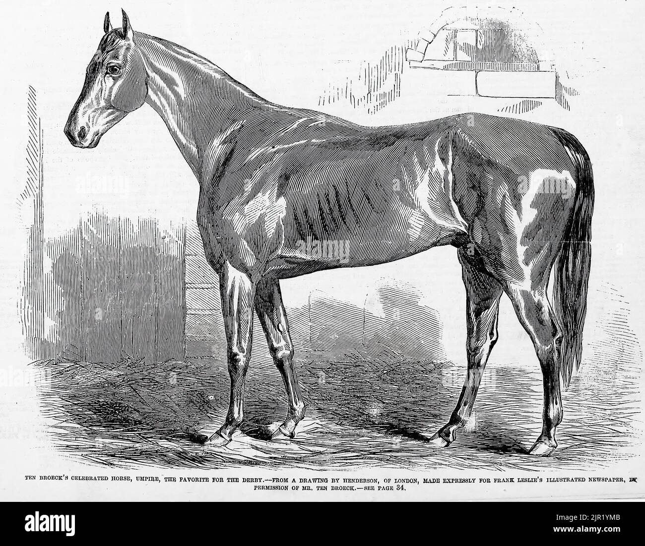 Ten Broeck's celebrated horse, Umpire, the favorite for the Derby. 1860 ...