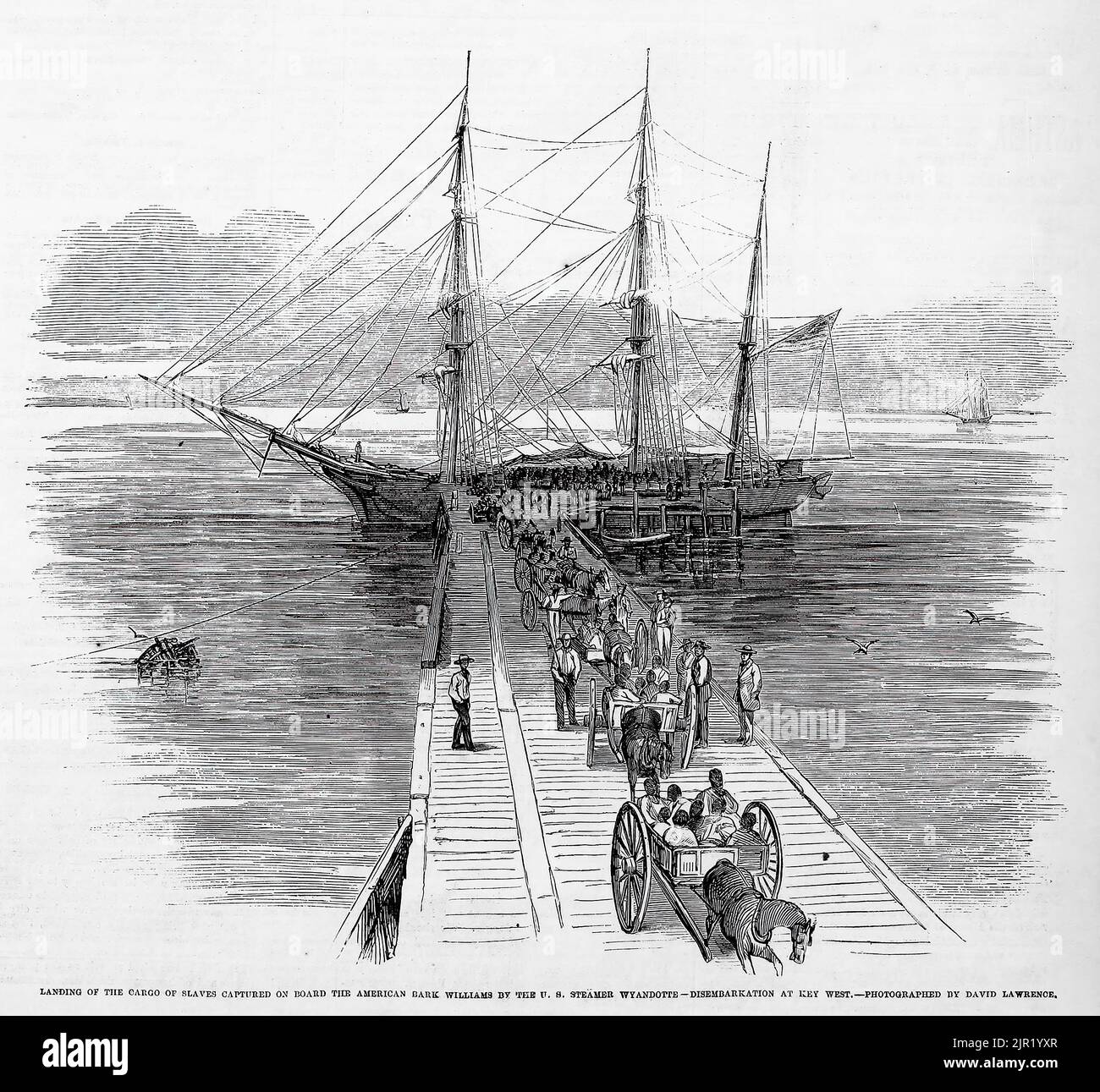 Landing of the cargo of slaves captured on board the American bark ...