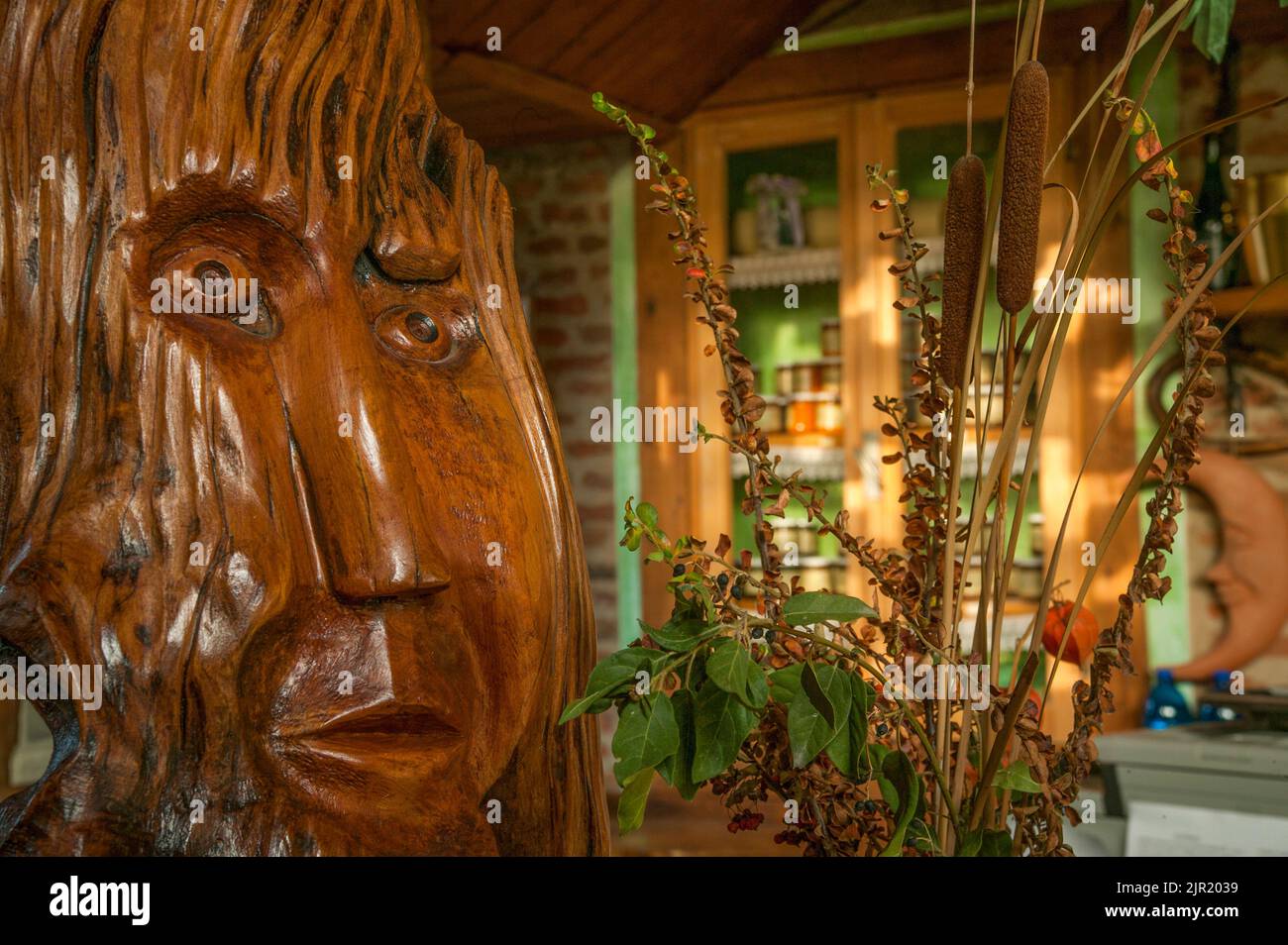 Statue of an indigenous amazonian man hi-res stock photography and ...