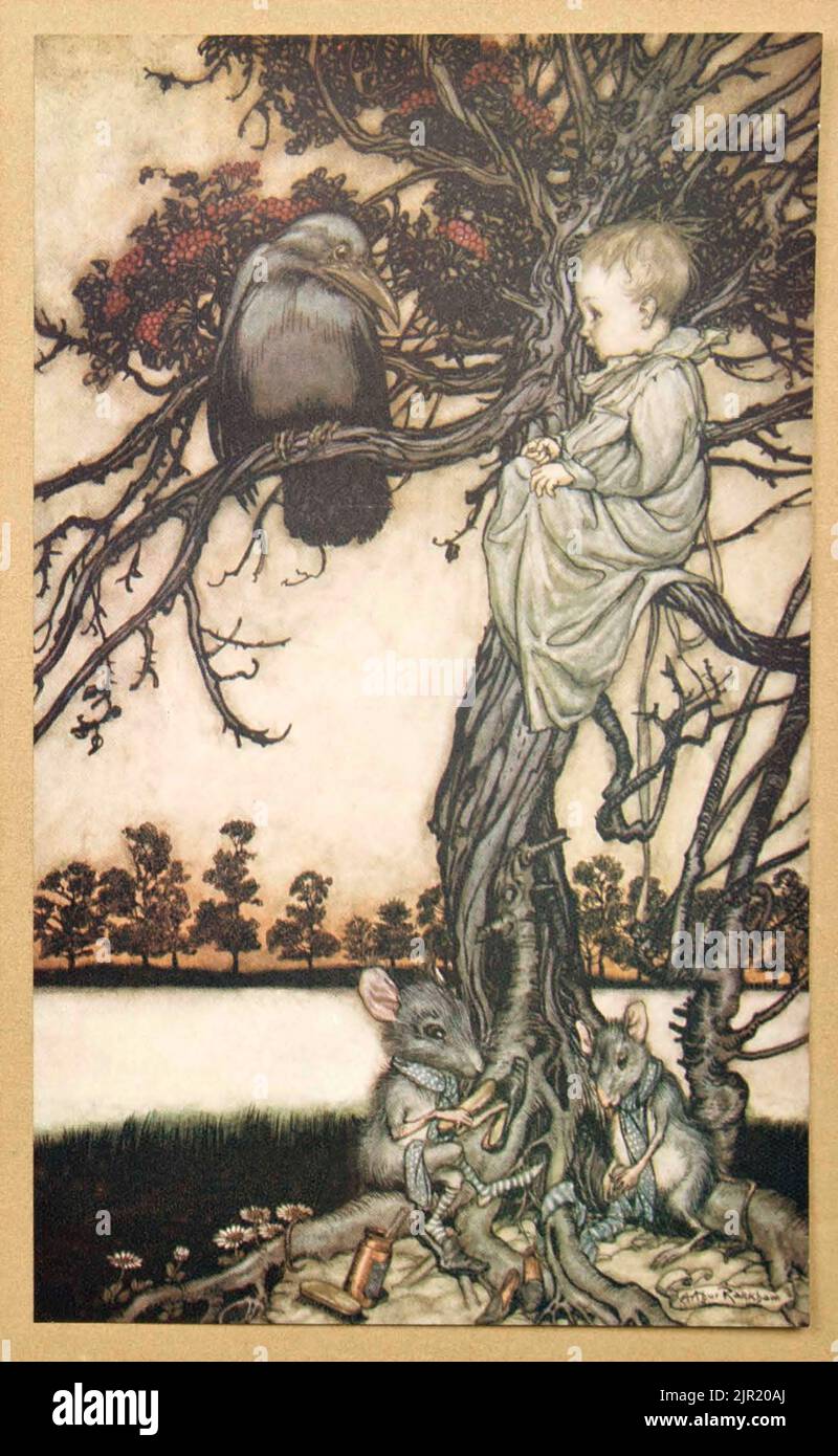 Put his strange case before old Solomon Caw from the book ' Peter Pan ...
