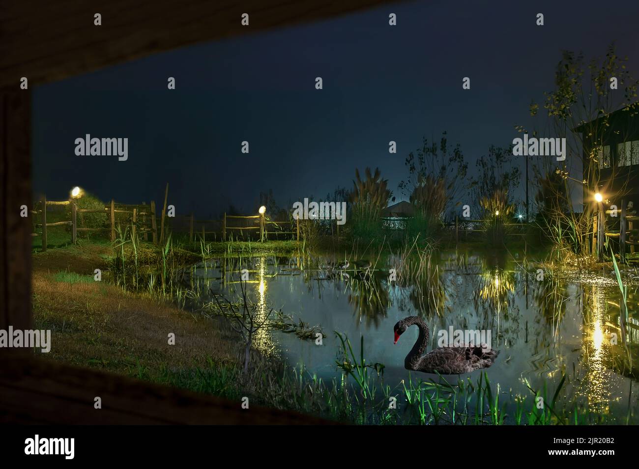 Small enchanted pond resumed during the night illuminated by very ...