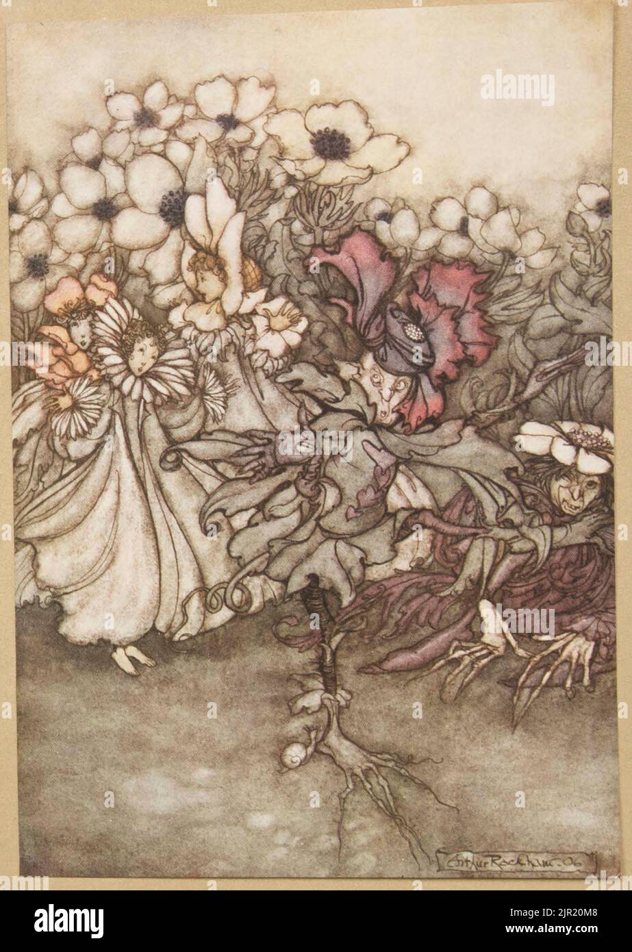 Arthur Rackham Flowers