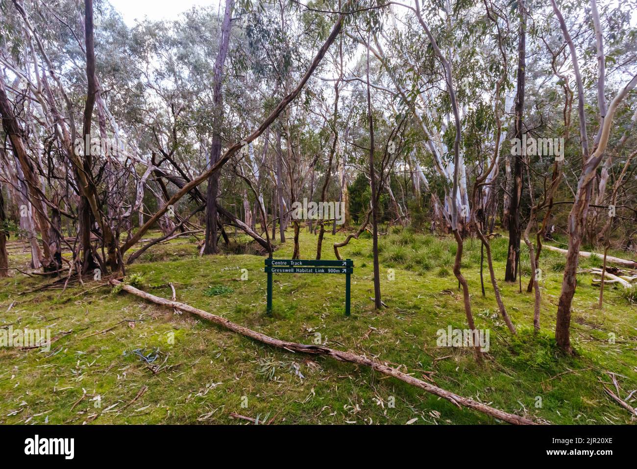 Gresswell Conservation Reserve in Melbourne Australia Stock Photo - Alamy