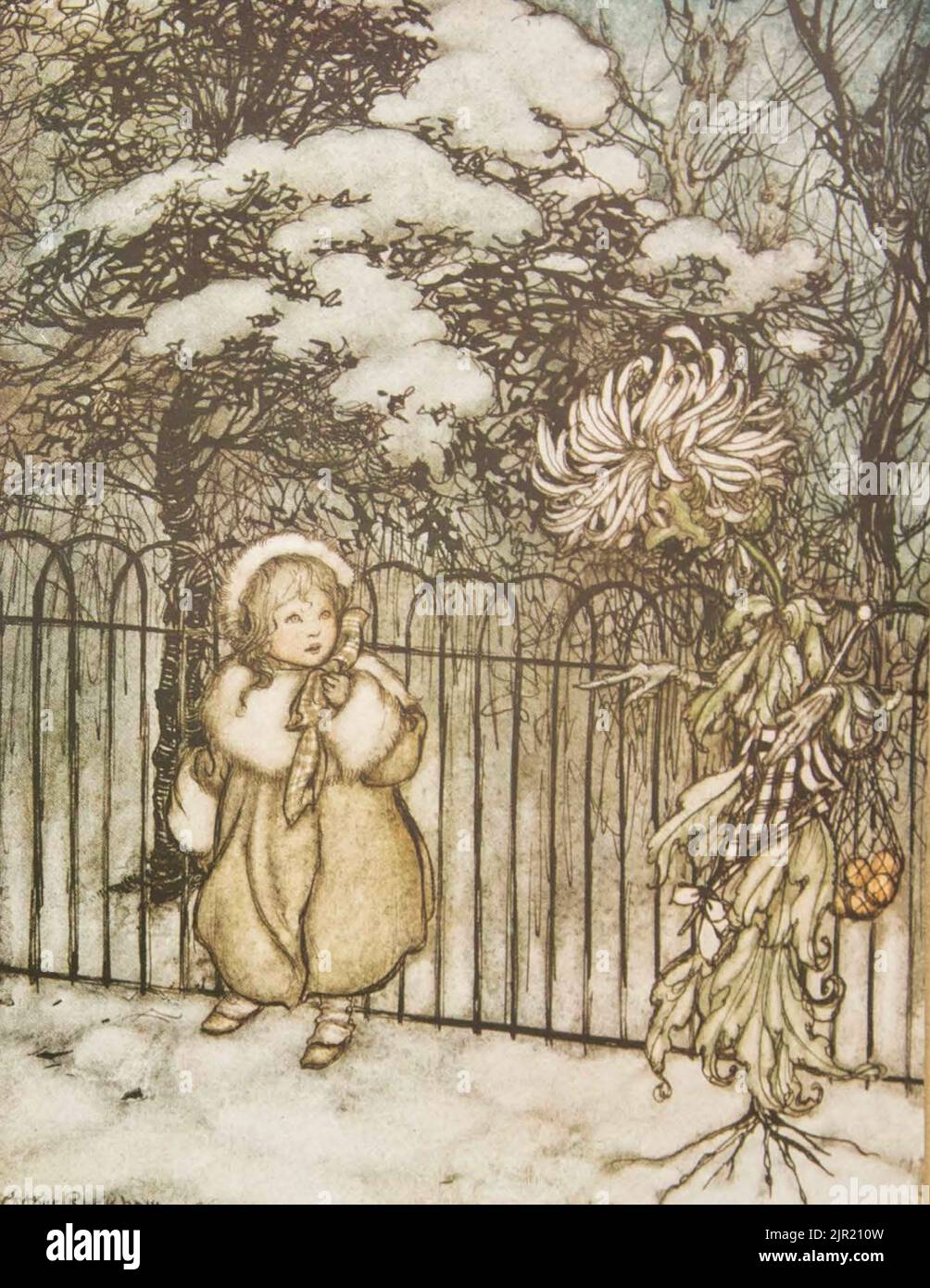 A chrysanthemum heard her, and said pointedly, ‘ Hoity-toity, what is ...