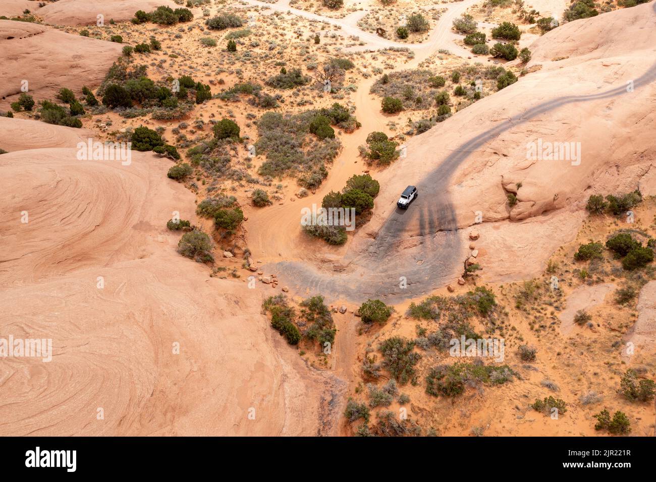 Little lions back hi-res stock photography and images - Alamy