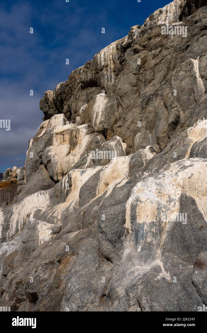 Guano stained hi-res stock photography and images - Alamy