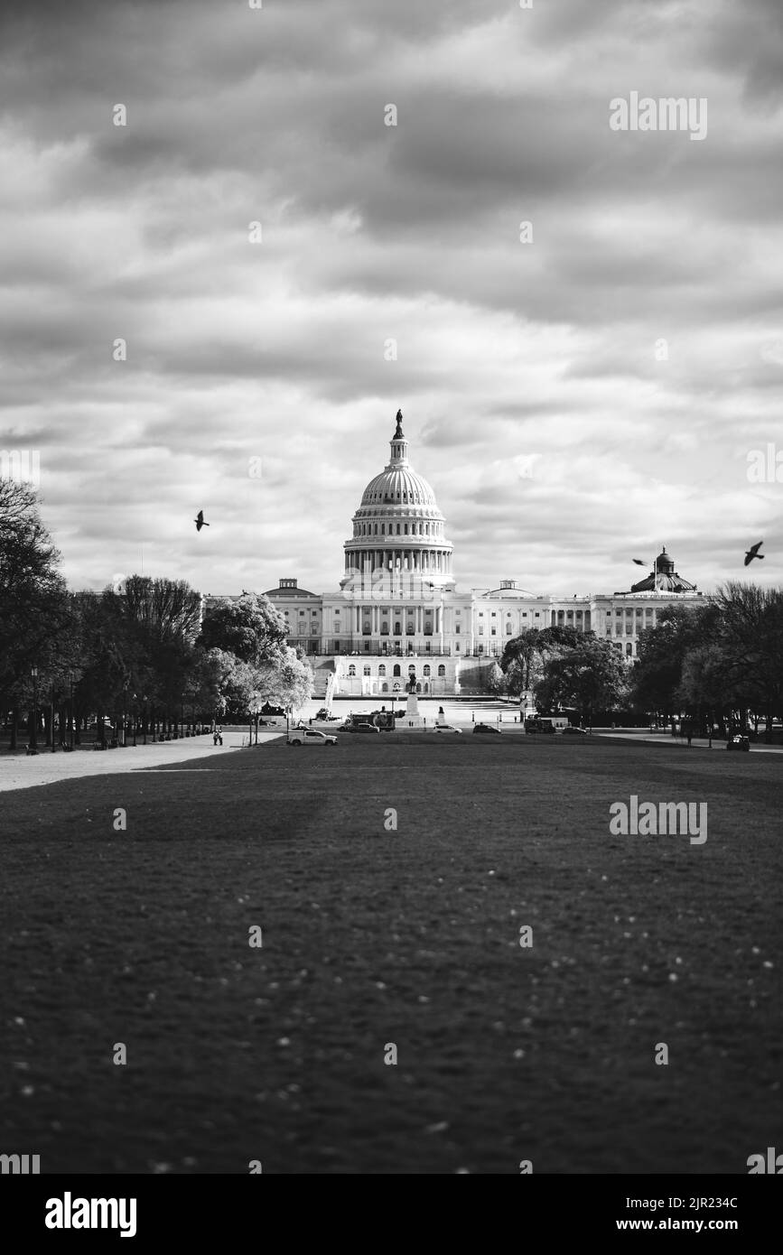 The Capital Building, Washington D.C Stock Photo - Alamy