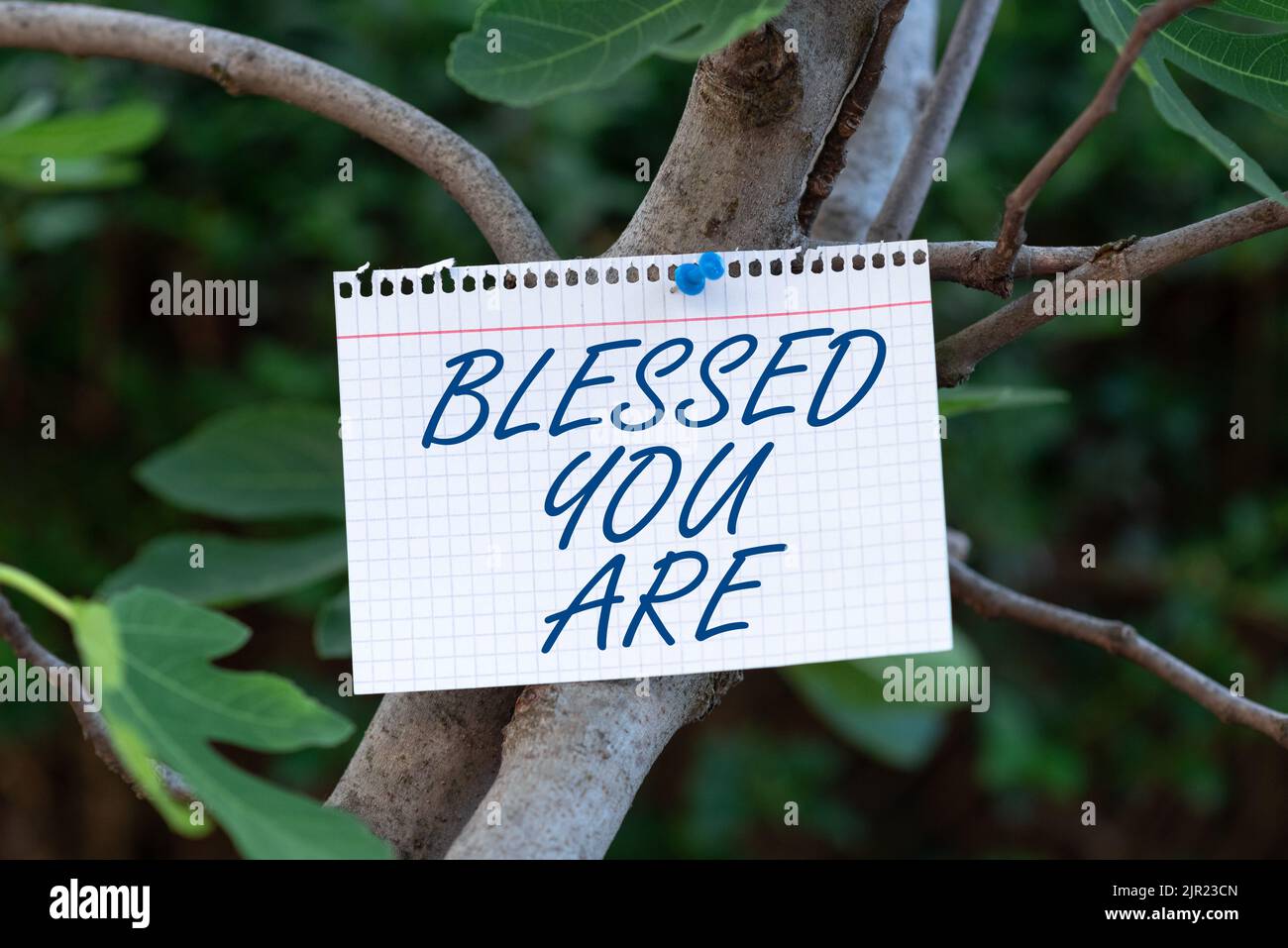 Inspiration showing sign Blessed You Are. Concept meaning Spiritual ...