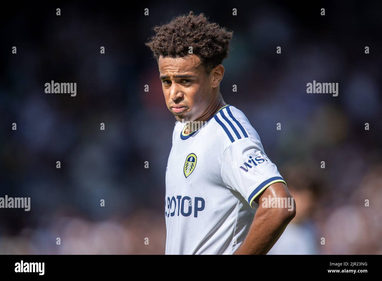 Tyler adams leeds hi-res stock photography and images - Alamy