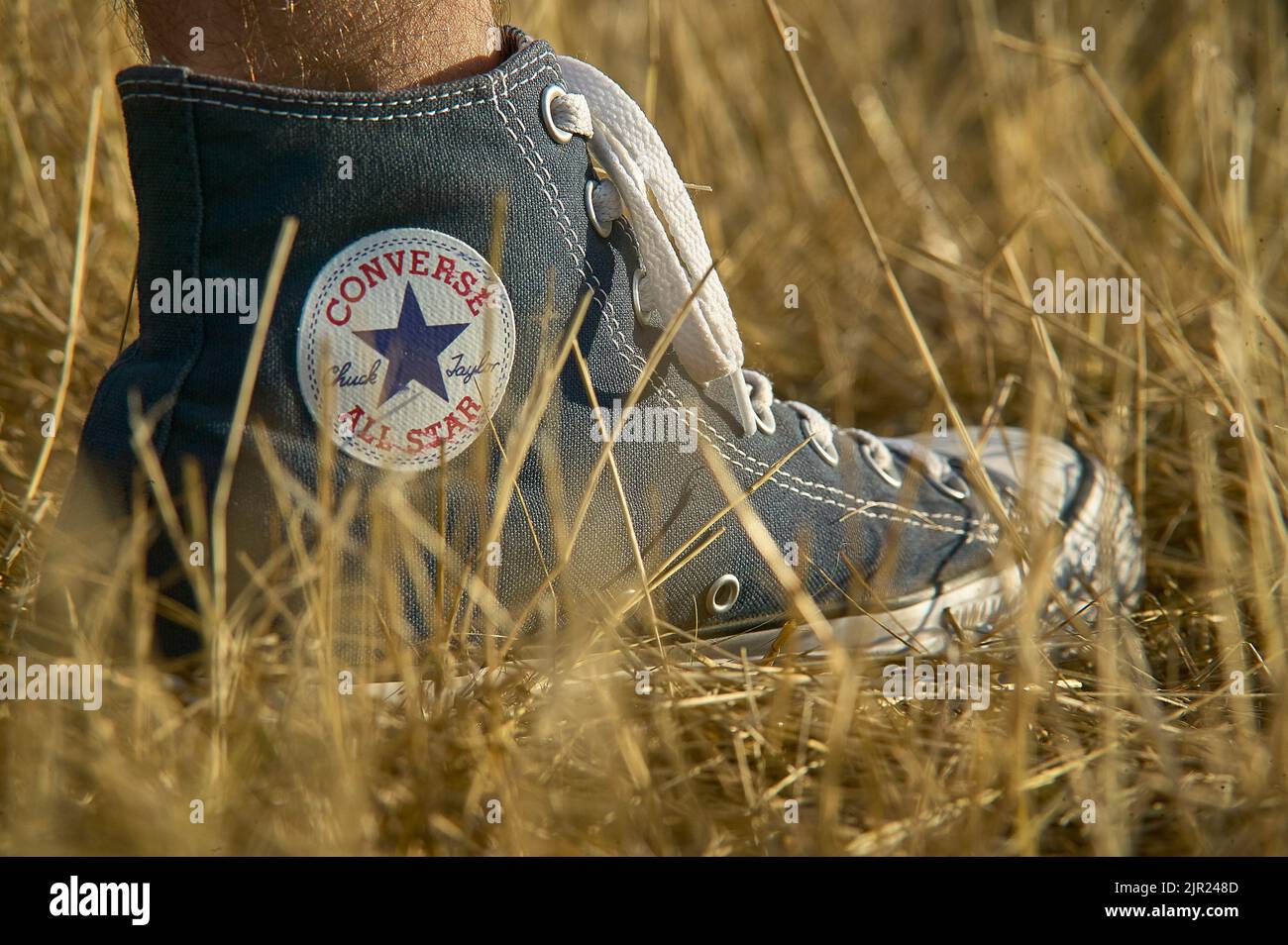 Los angeles, United States 20 august 2022: converse shoes in grass ...