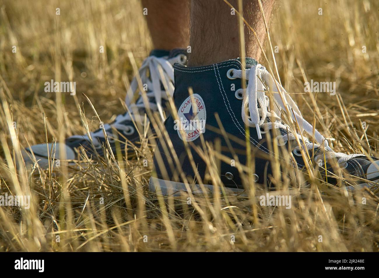Los angeles, United States 20 august 2022: converse shoes in grass ...