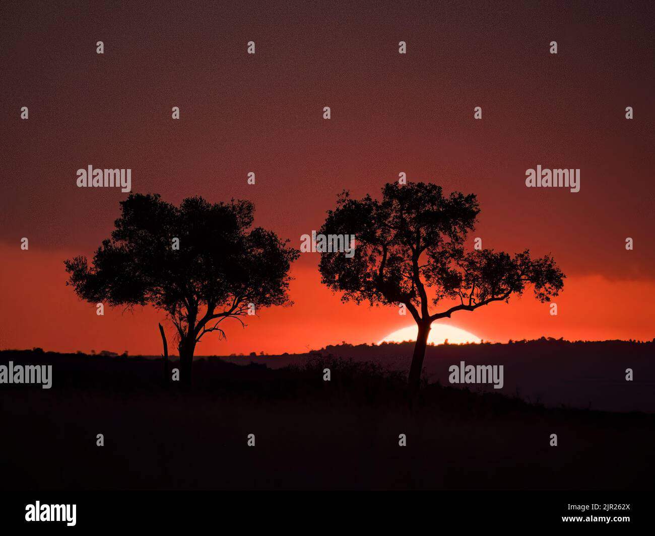 Sunset over the Mara national park in Kenya Stock Photo - Alamy