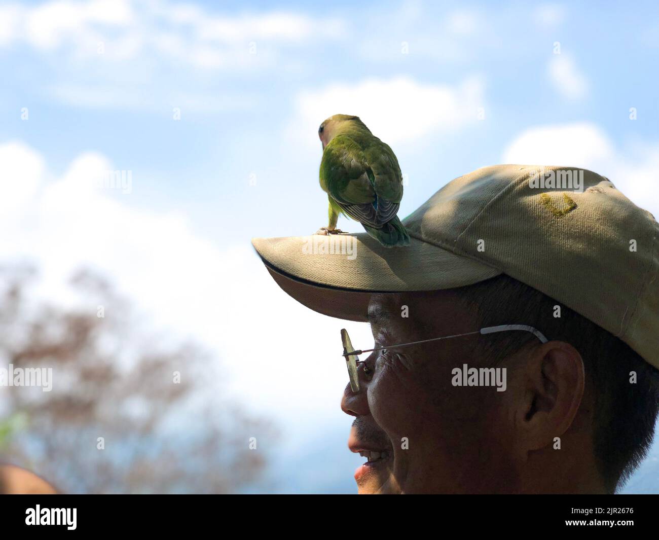 Animal baseball cap hi-res stock photography and images - Alamy