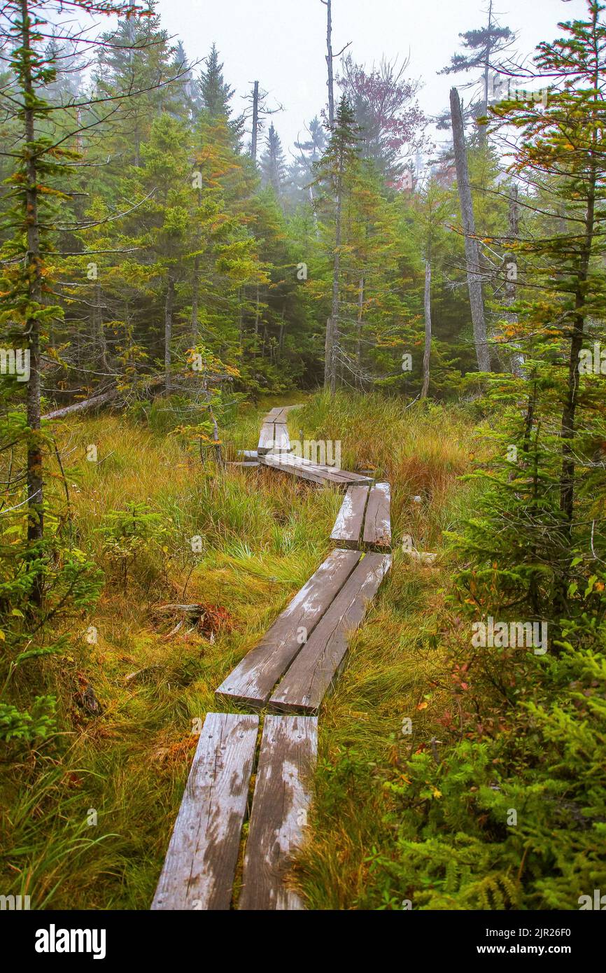 Amc greenleaf hut hi-res stock photography and images - Alamy