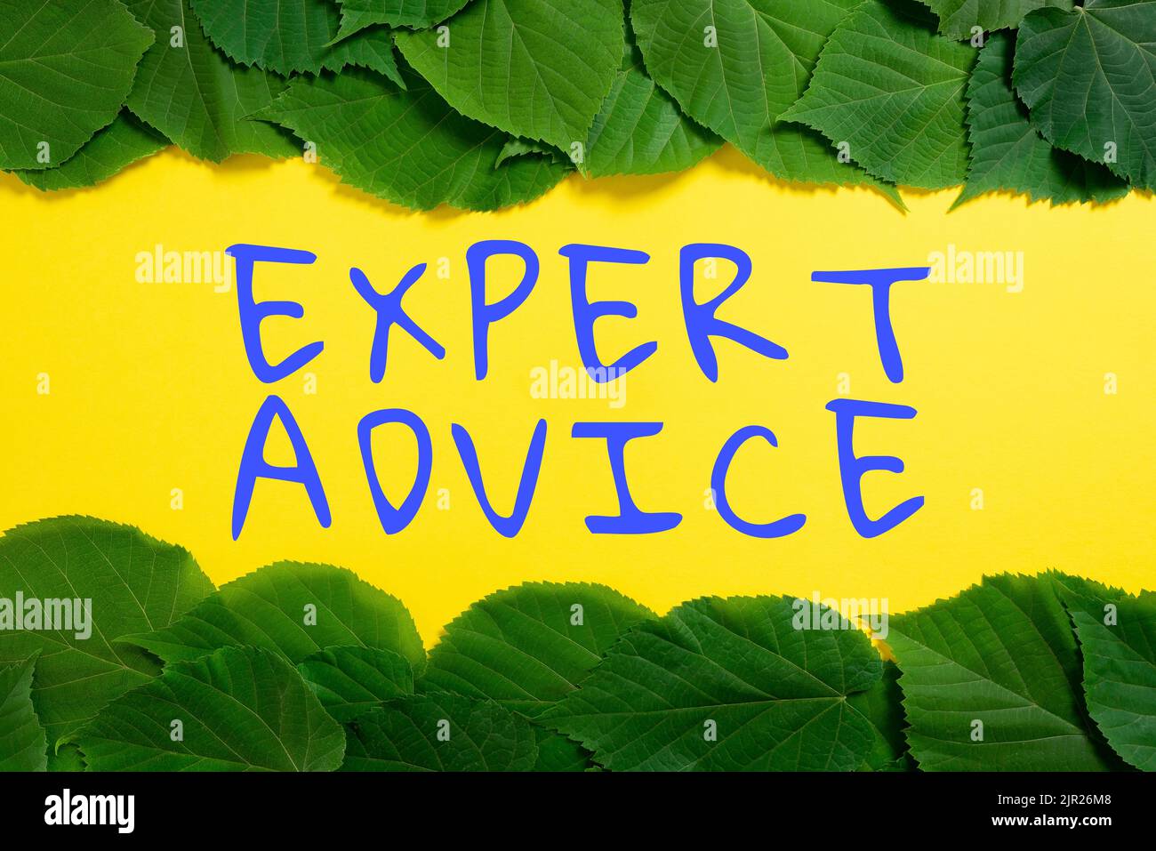Text sign showing Expert Advice. Internet Concept Sage Good Word ...