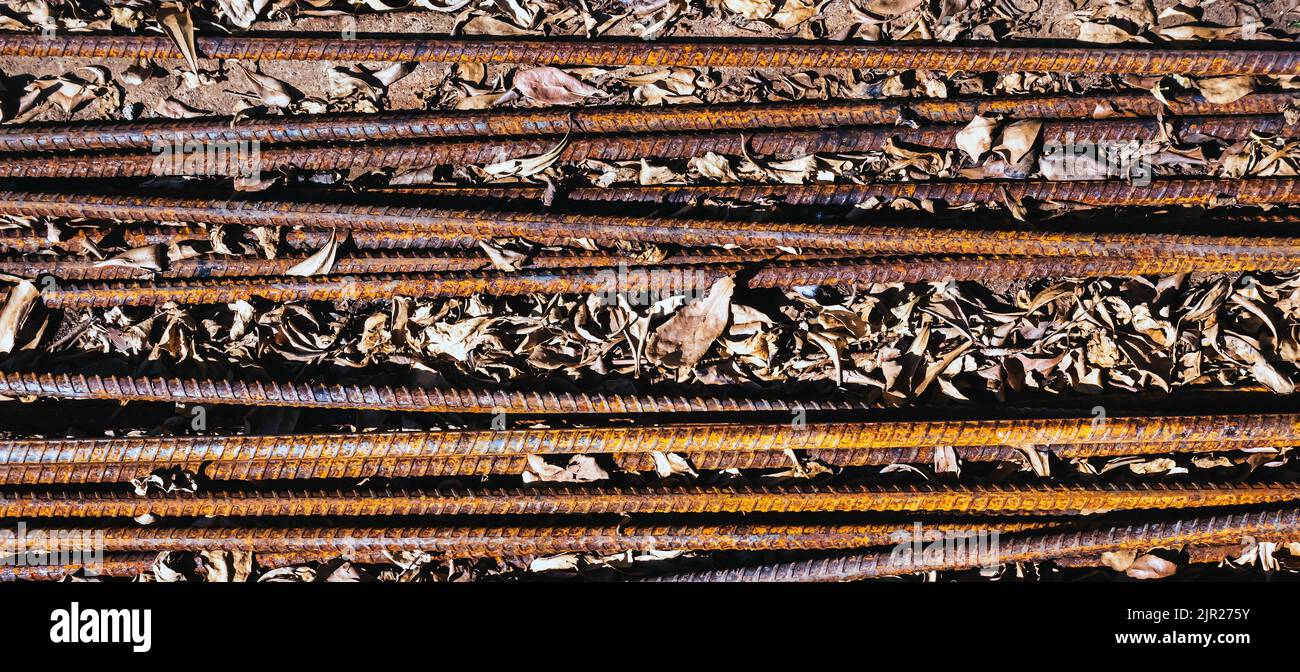 Top view old rusted iron bars and dry leaves on floor. Close up to ...