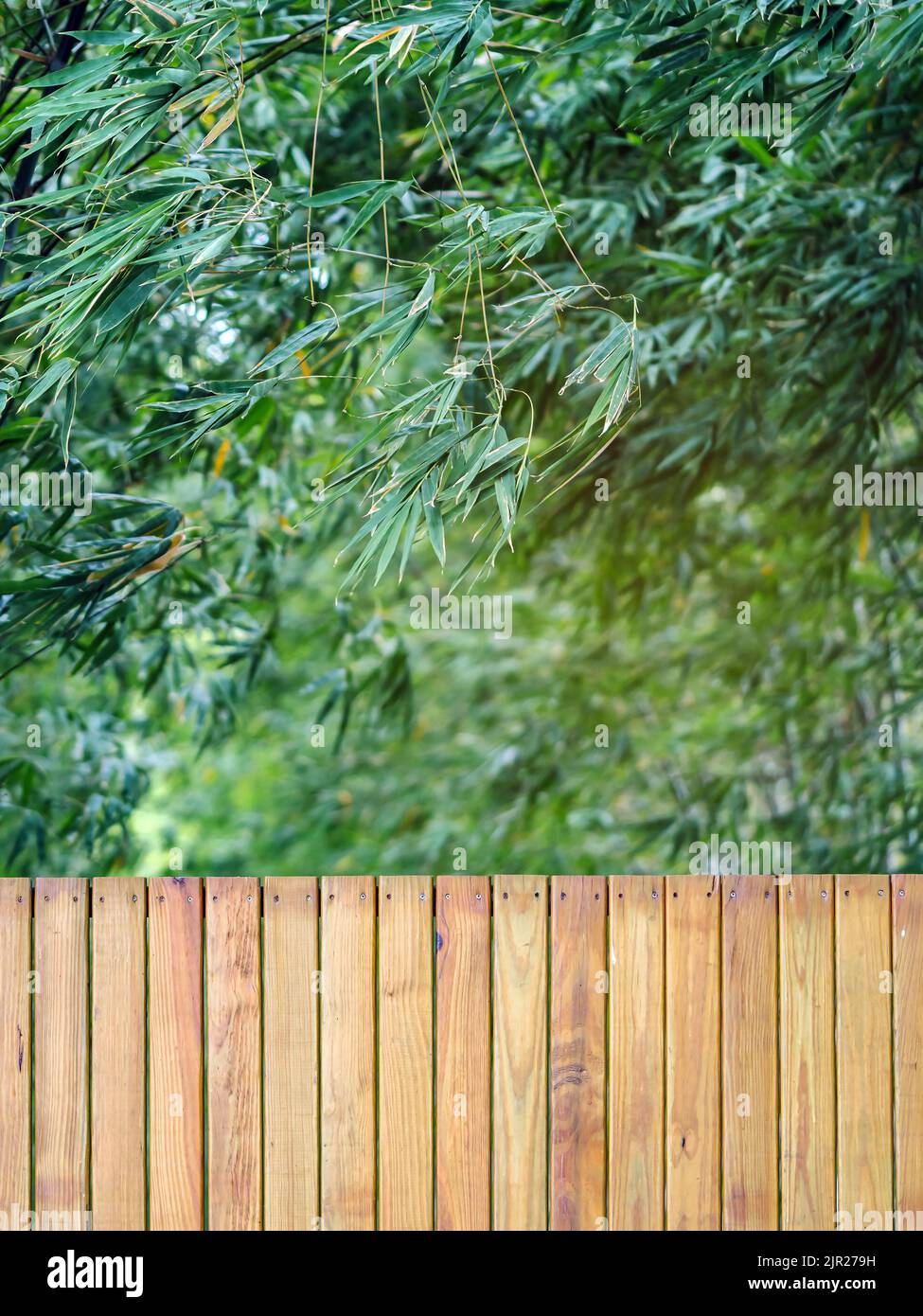 Beautiful brown wooden door decoration and blurred bamboo garden in ...