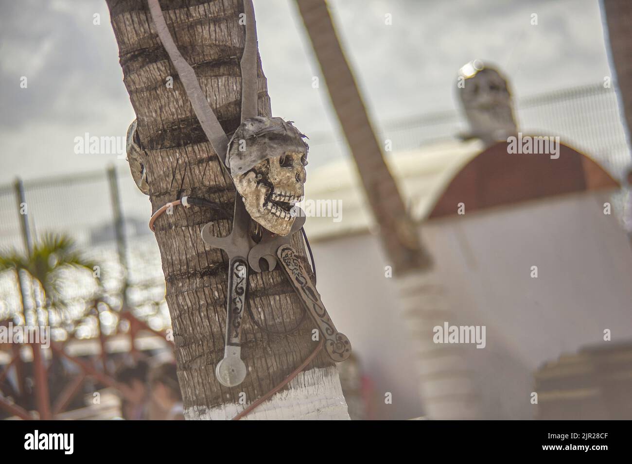 Skull and pair of knives attached to a palm tree: symbol of death and ...