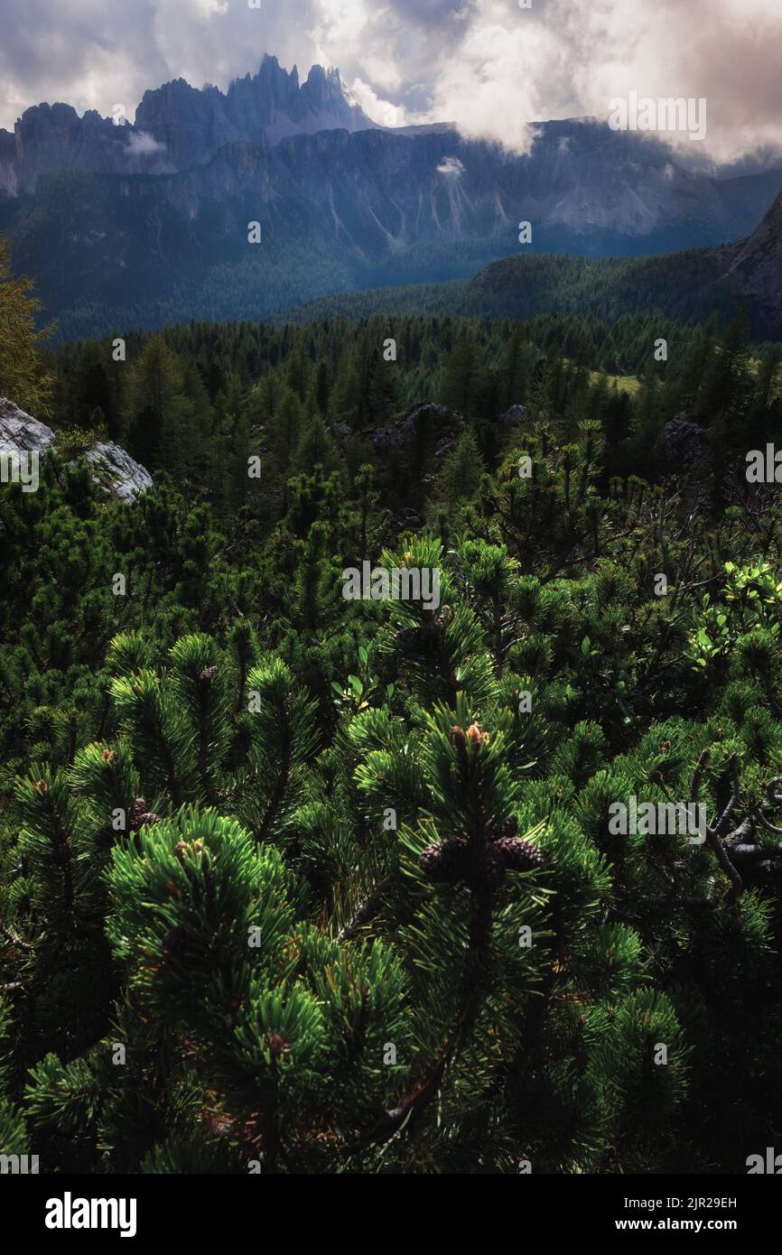 Dolomites trek hi-res stock photography and images - Alamy