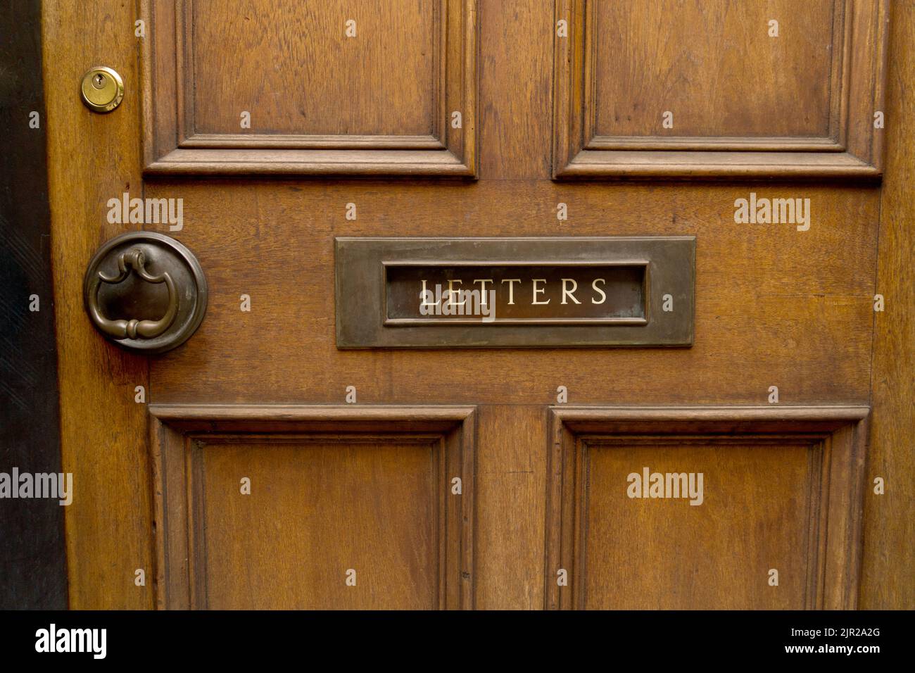 Close up of brown high quality noble wood entrance door with brass ...