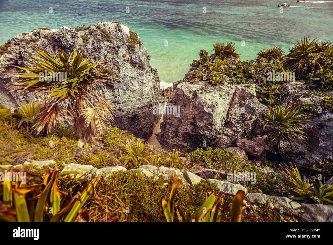 Cliff overgrown with tropical vegetation and palm trees perches on the ...