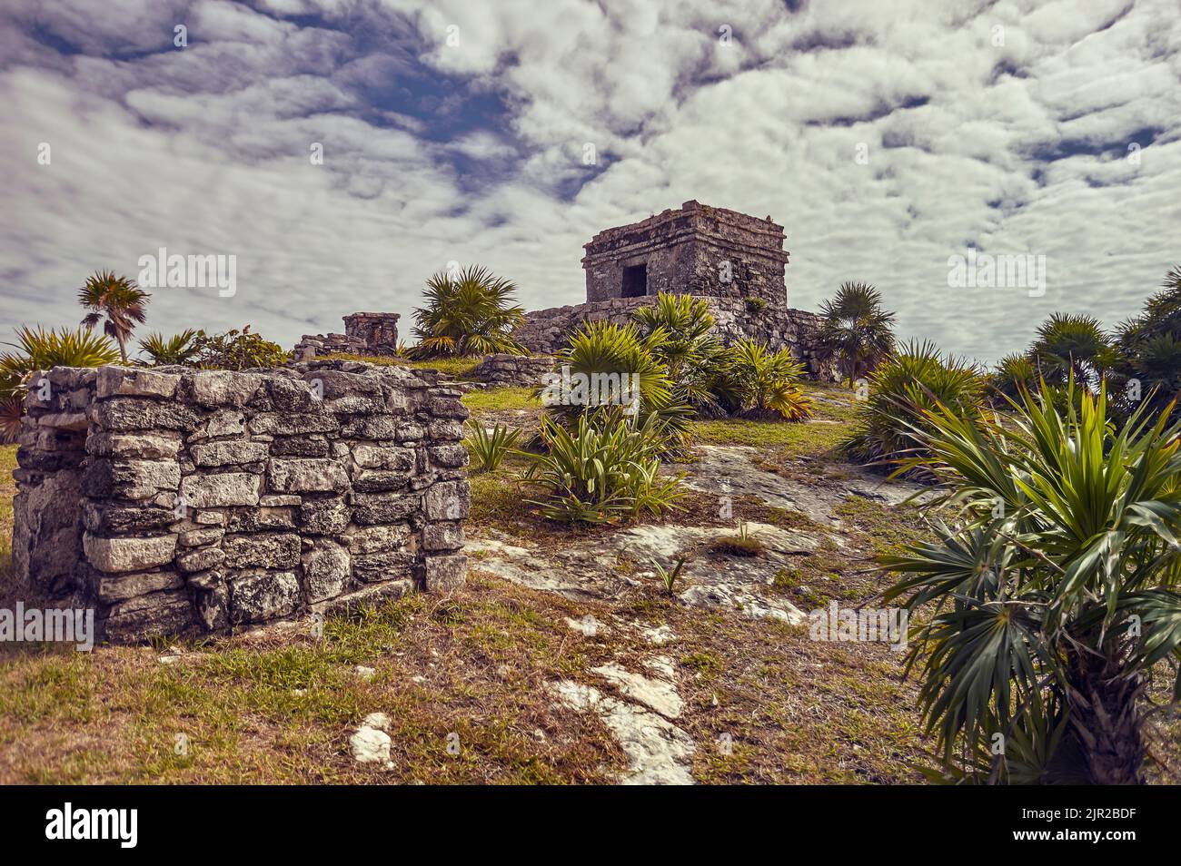 Ruins of Mayan buildings immersed in a green meadow: View of some parts ...