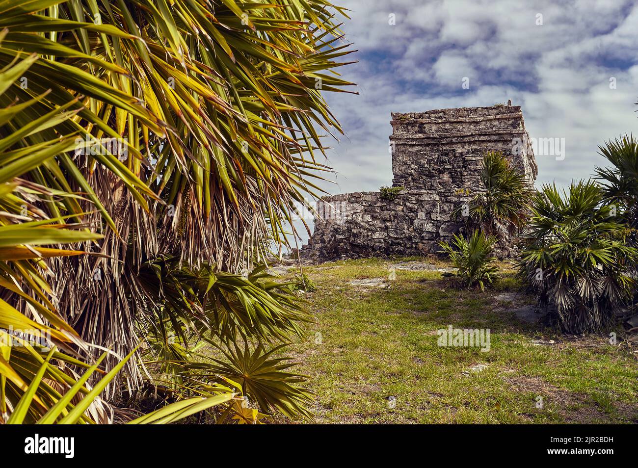 Ruins of Mayan buildings immersed in a green meadow: View of some parts ...