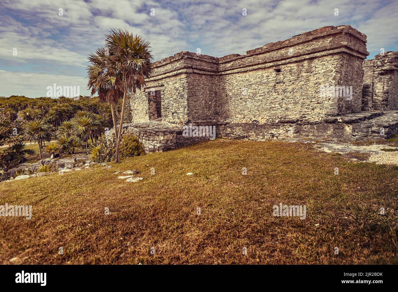 Ruins of Mayan buildings immersed in a green meadow: View of some parts ...