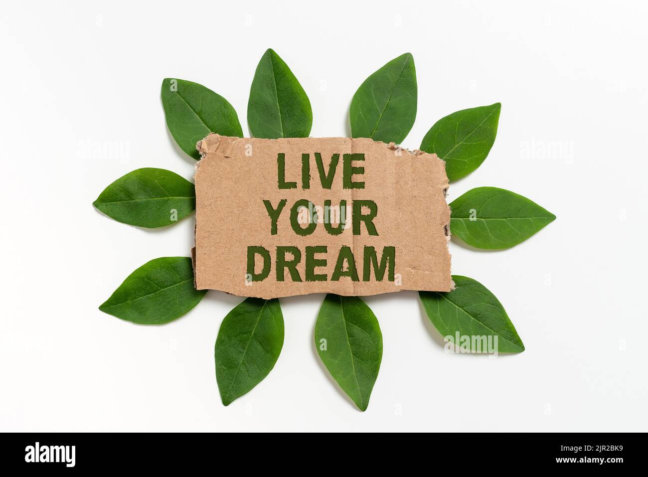 Sign displaying Live Your Dream. Internet Concept Motivation be ...