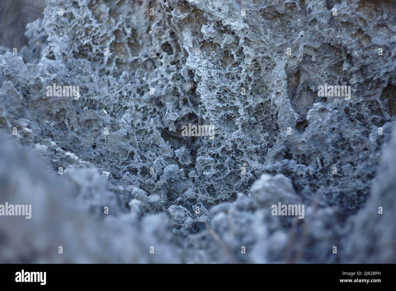 Detail of a limestone rock typical of the Mayan Riviera in Mexico Stock ...