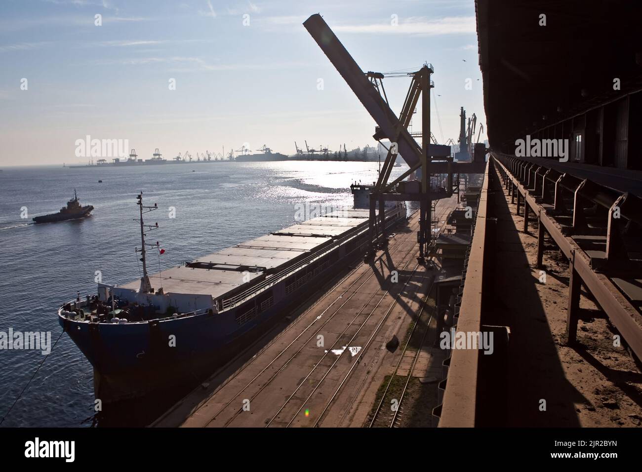 Loading grain into holds of sea cargo vessel in seaport from grain ...