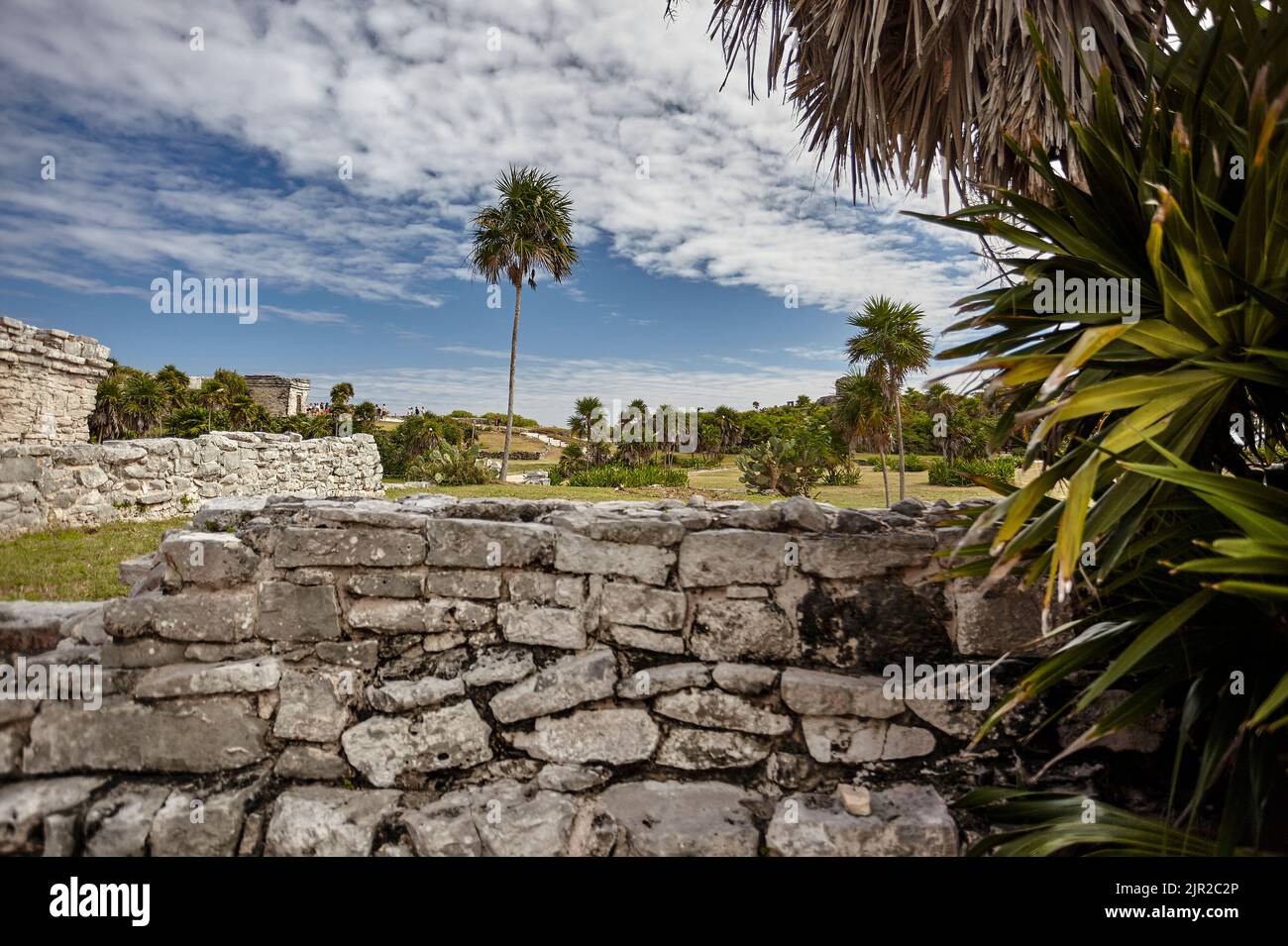 Detail of a stone wall dating back to the Maya civilization in the ...