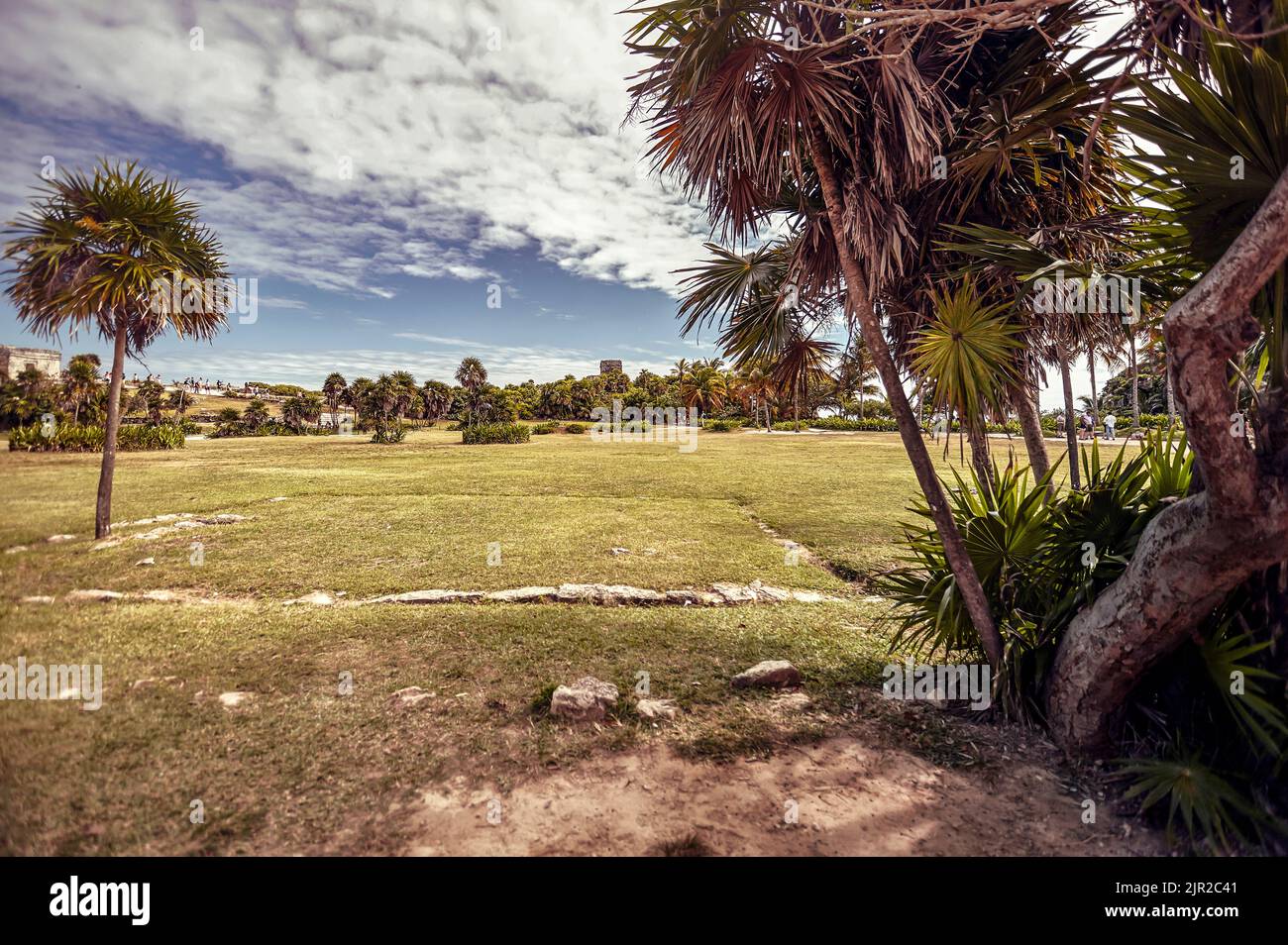 Magnificent green garden full of palm trees and tropical vegetation ...