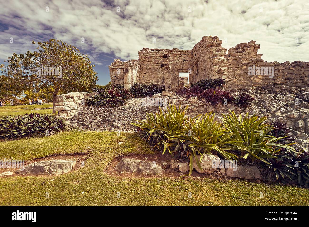 Ruins of Mayan building immersed in a green meadow: View of some parts ...