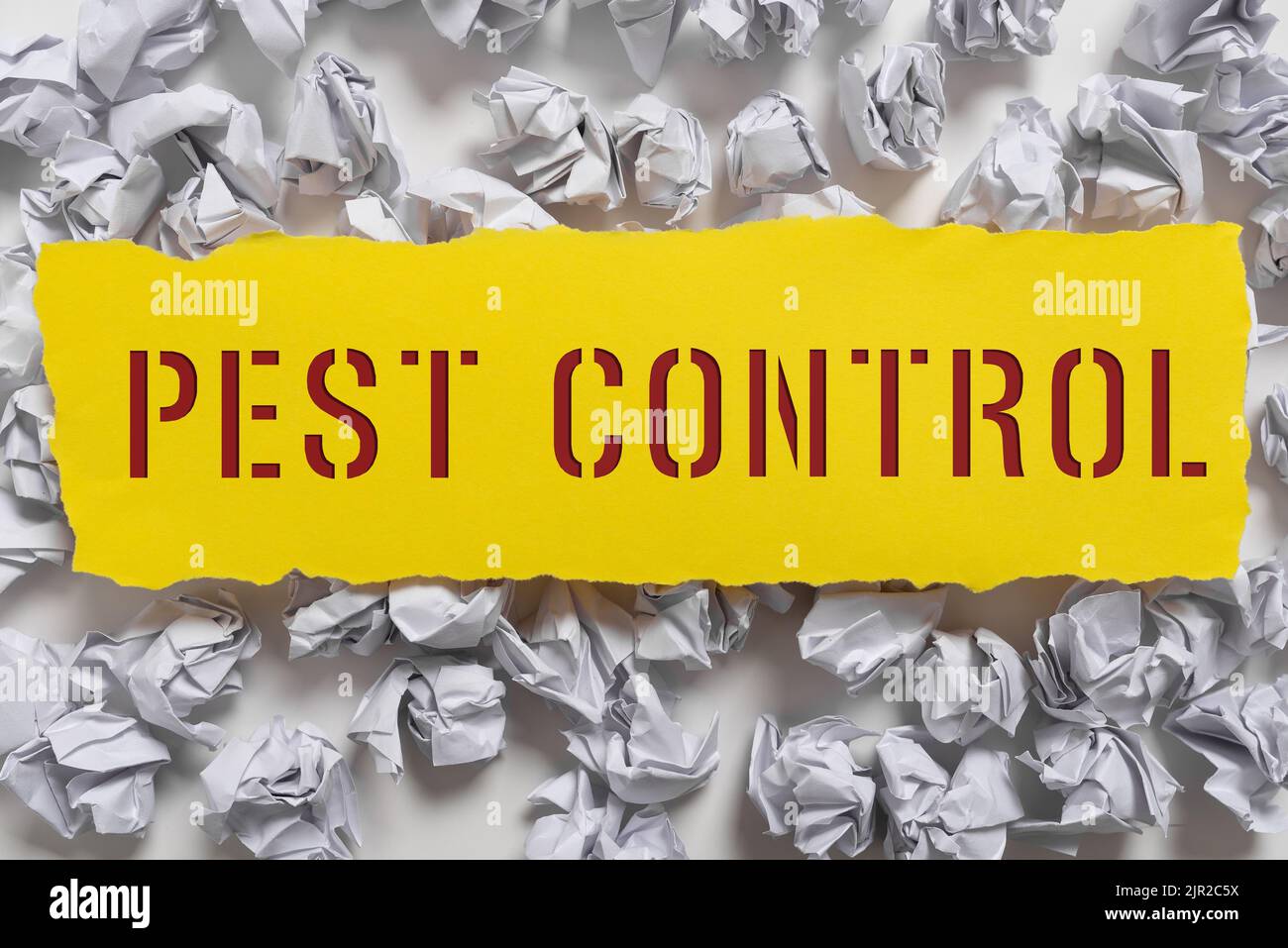 Sign displaying Pest Control. Business showcase Killing destructive ...