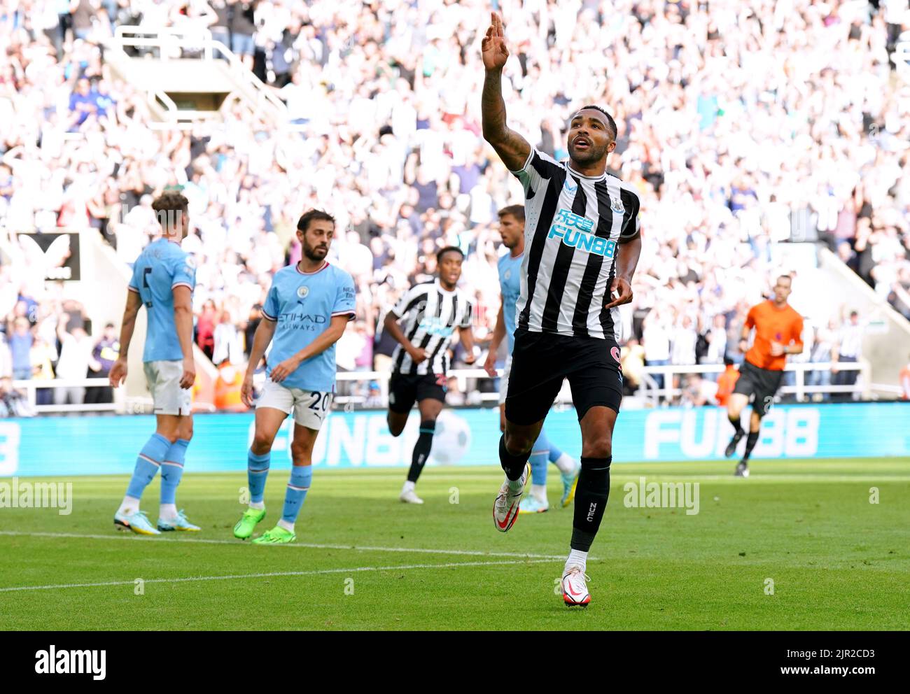 Newcastle United's Callum Wilson celebrates scoring their side's second ...