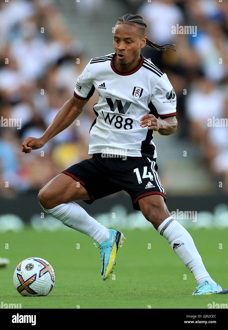 Fulham’s Bobby De Decordova-Reid in action during the Premier League ...