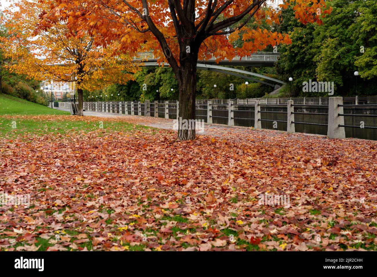Fall foliage in Ottawa, Ontario, Canada. Rideau Canal Eastern Pathway ...