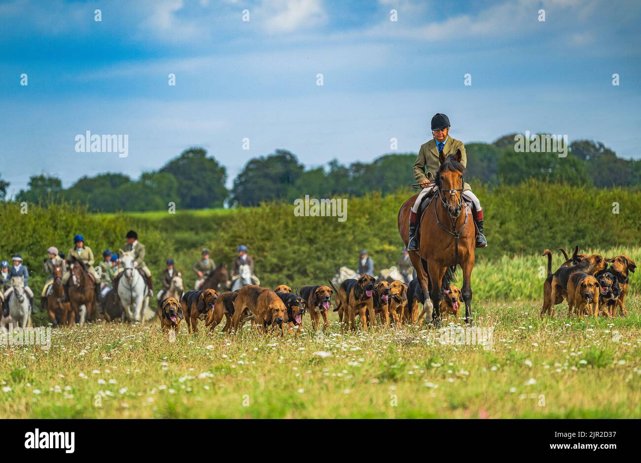Hunt field 2022 uk hi-res stock photography and images - Alamy